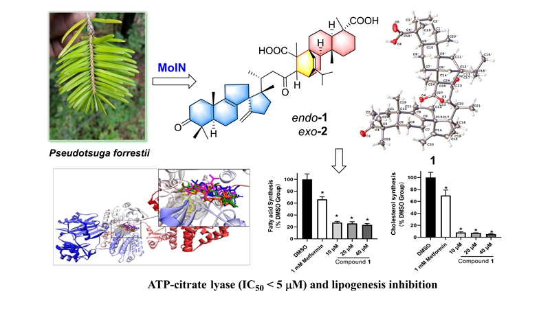 Recent progress of Jin-Feng Hu/Juan Xiong’s group in the discovery of ...