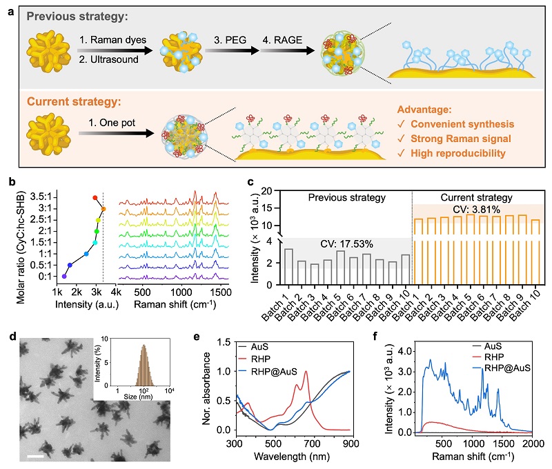 Angew Chem | 王聪、李聪团队开发串联比率响应拉曼探针成像癫痫灶pH震荡
